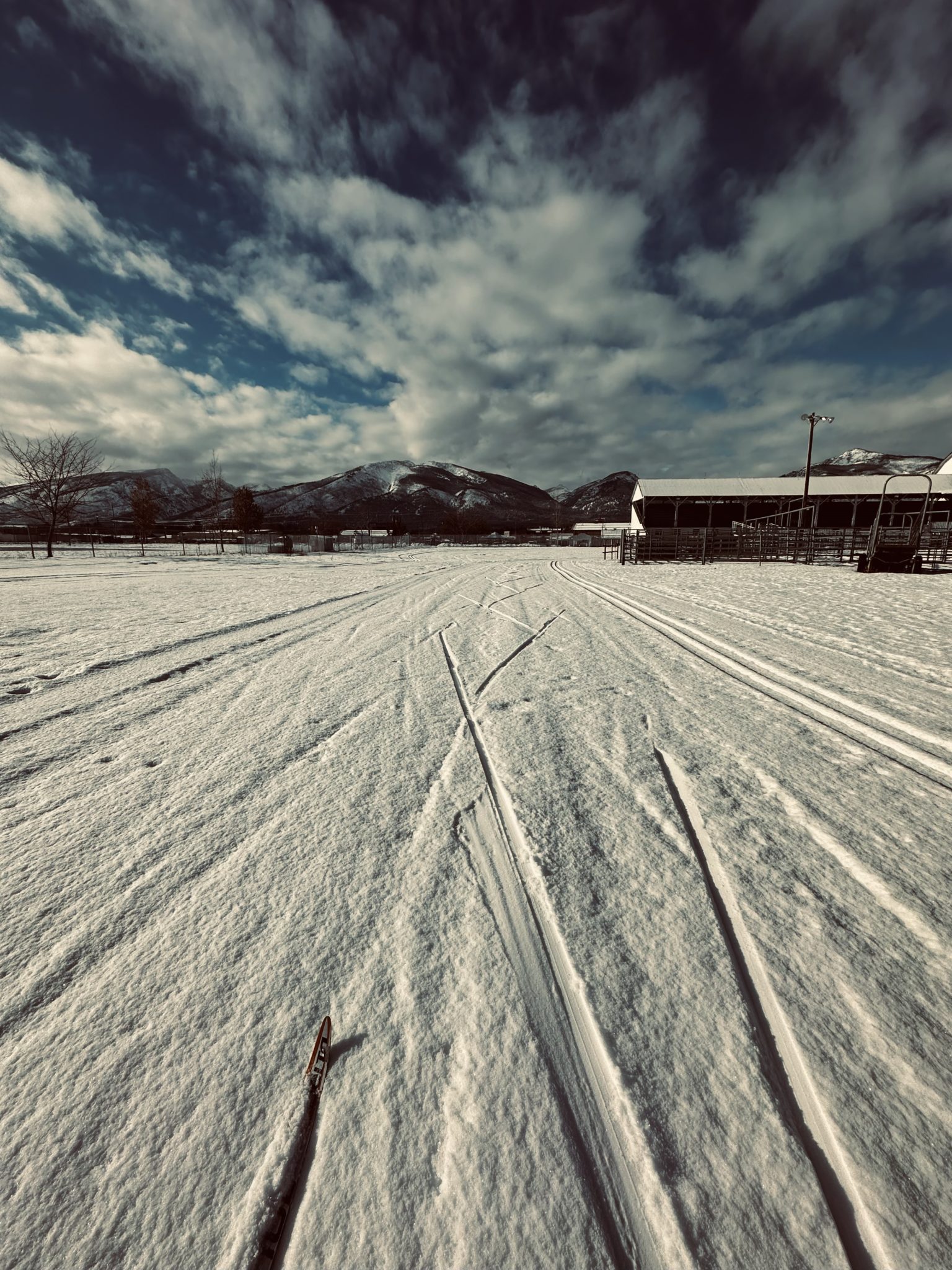 Bitterroot Cross Country Ski Club – Ski Chief Joseph Pass