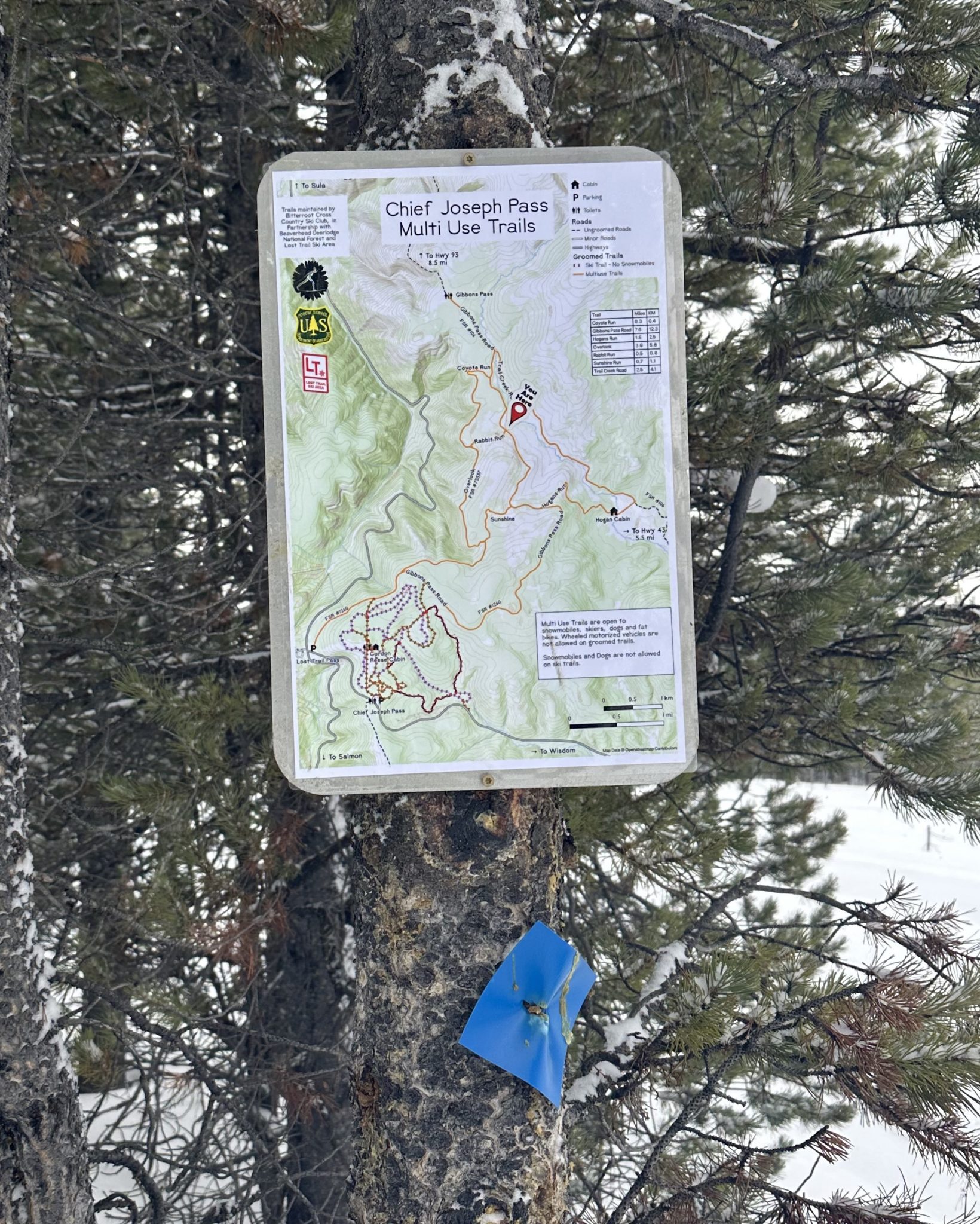Bitterroot Cross Country Ski Club – Ski Chief Joseph Pass
