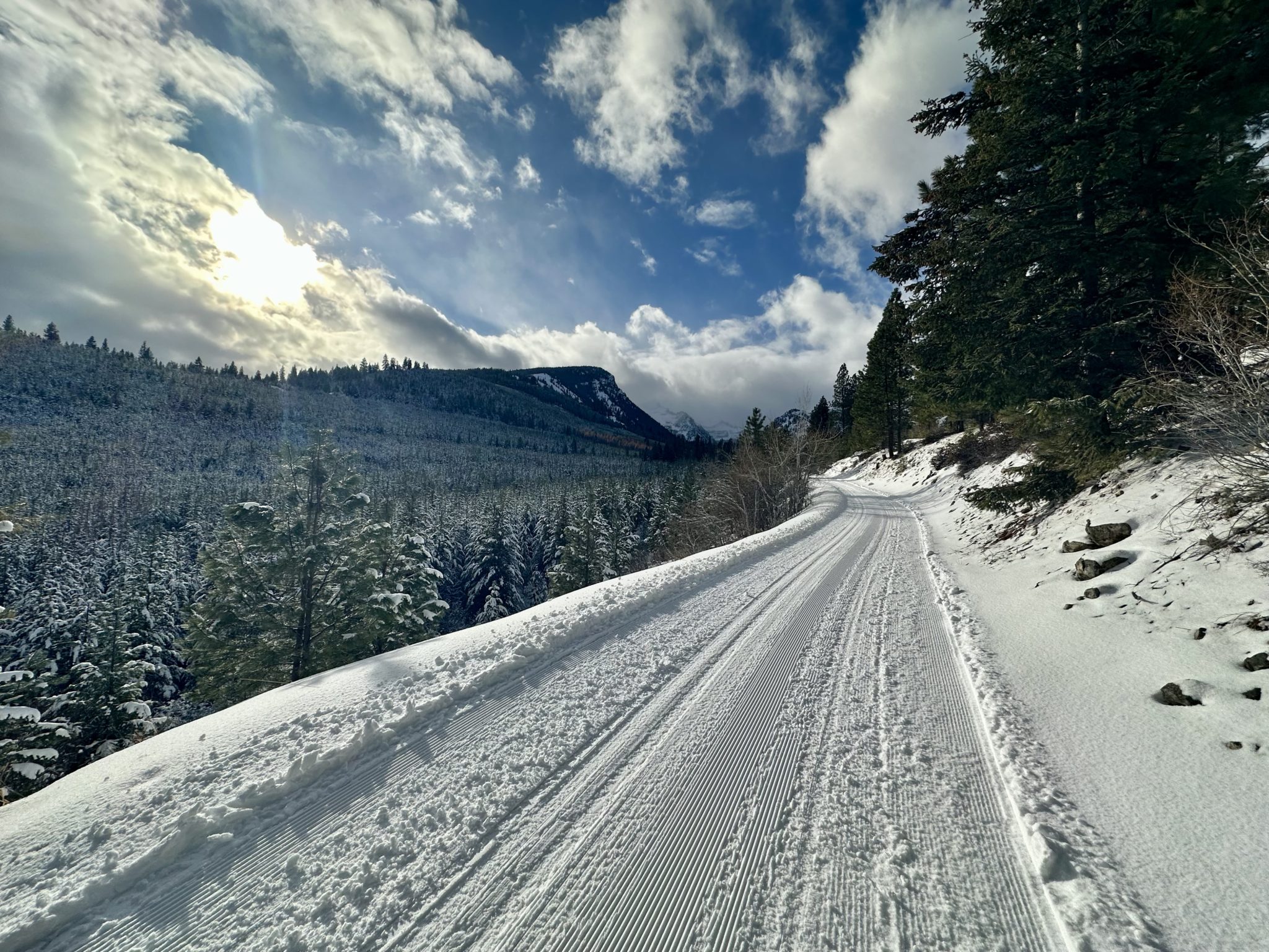 Bitterroot Cross Country Ski Club – Ski Chief Joseph Pass