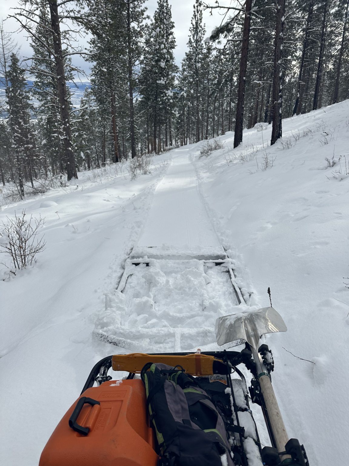 Bitterroot Cross Country Ski Club – Ski Chief Joseph Pass