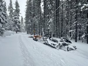 Bitterroot Cross Country Ski Club – Ski Chief Joseph Pass