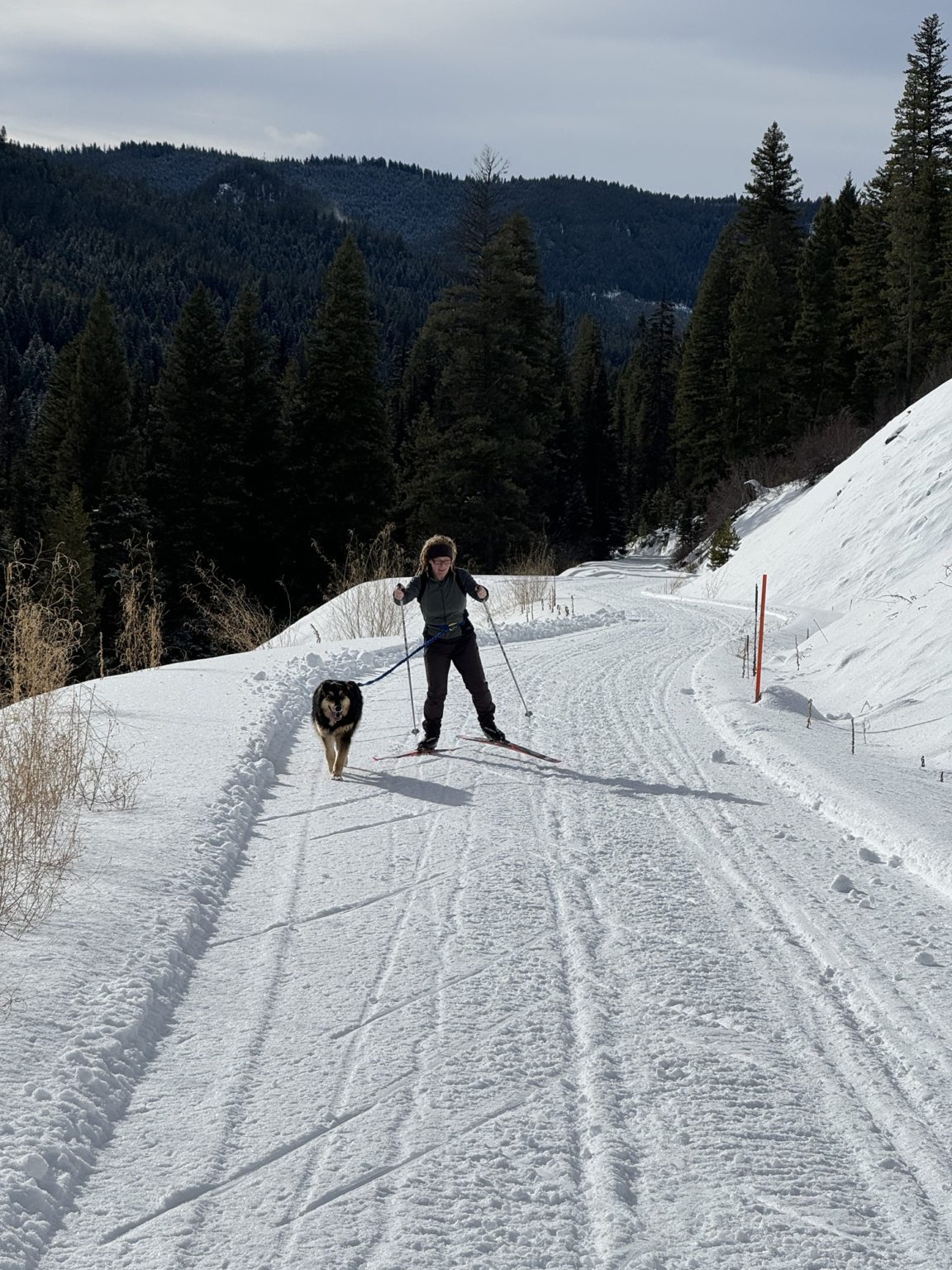 Bitterroot Cross Country Ski Club – Ski Chief Joseph Pass